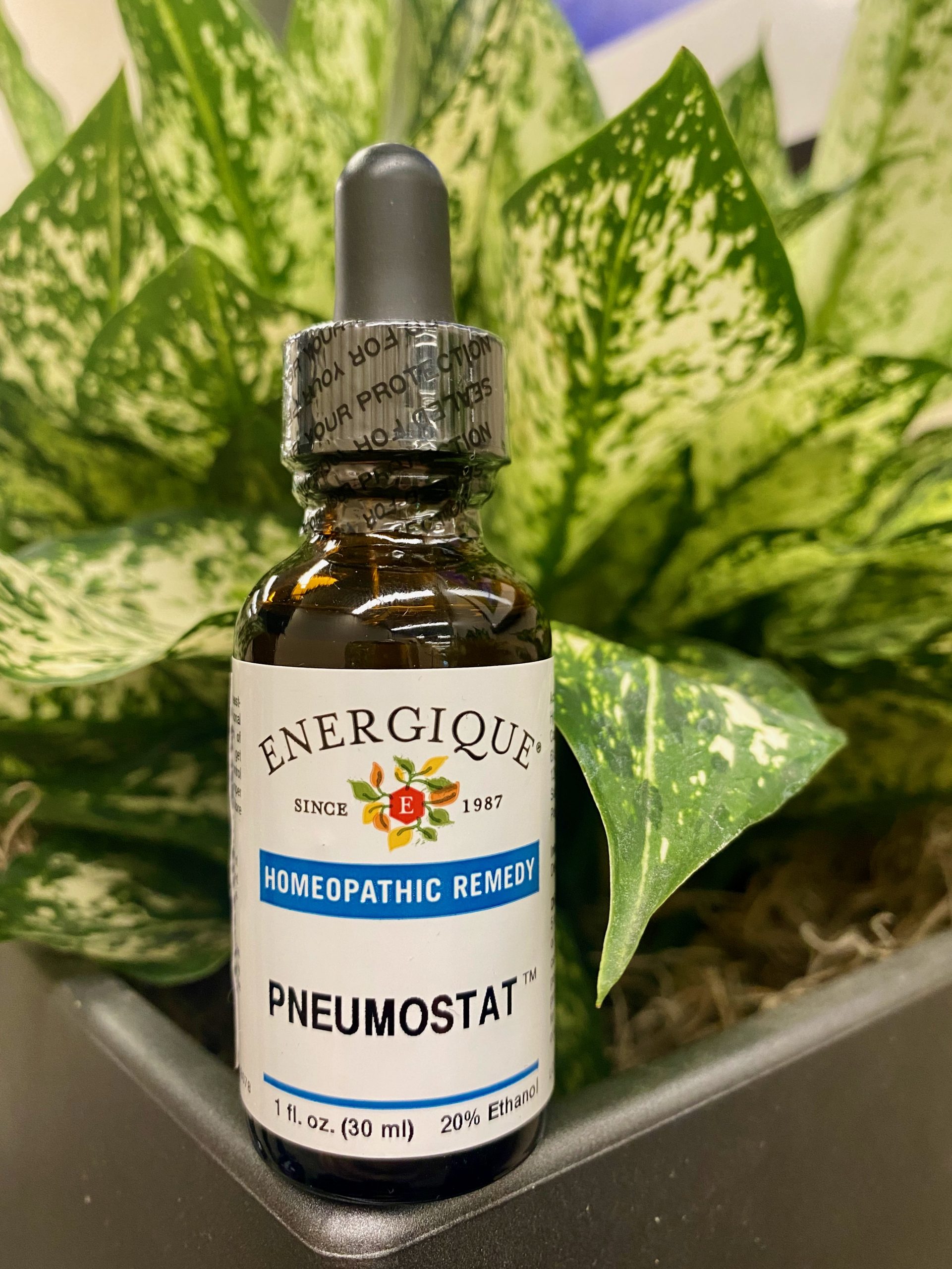 Pneumostat - Holistic Integration