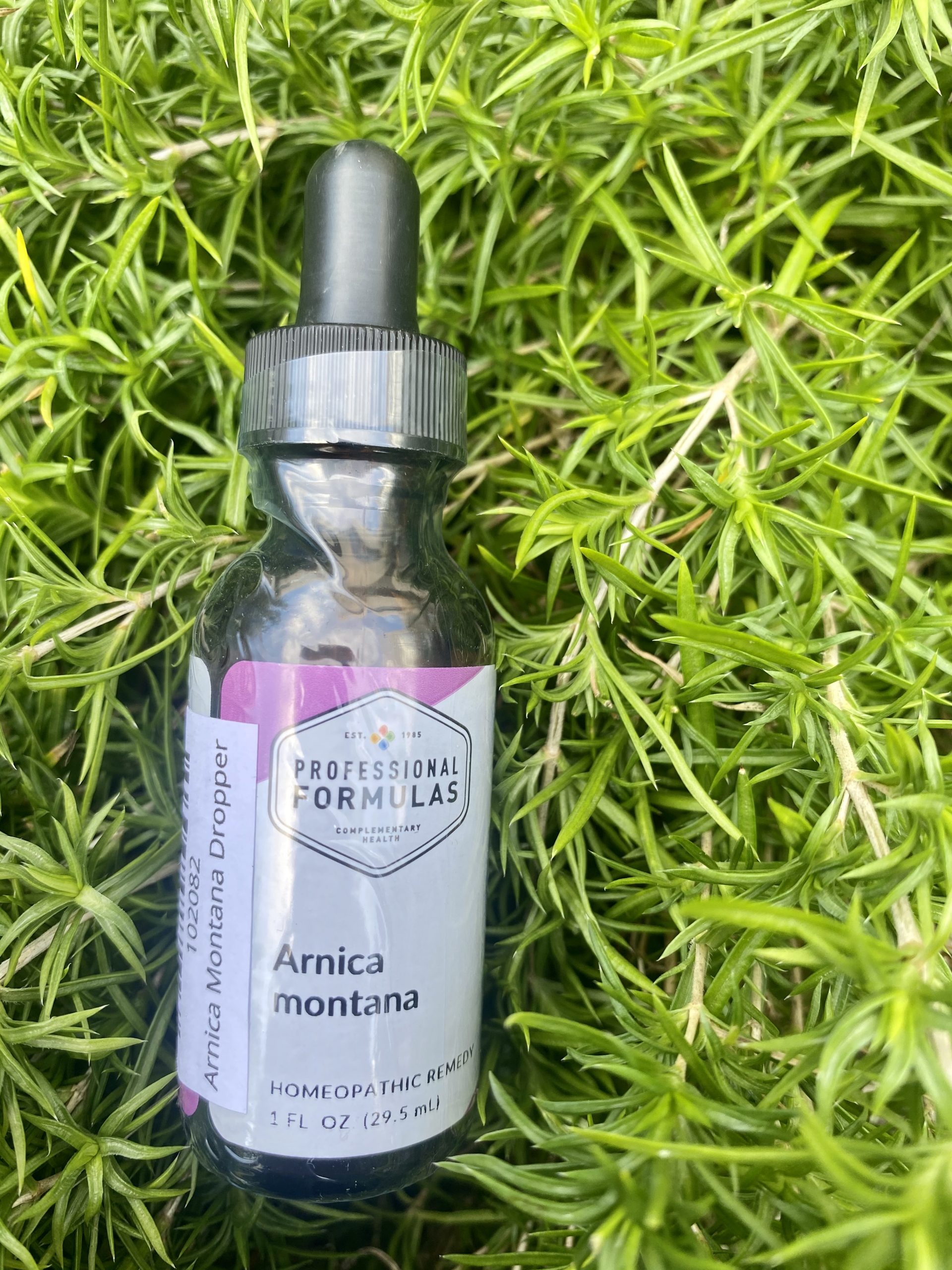 Photo Sep 03, 3 09 40 PM - Holistic Integration