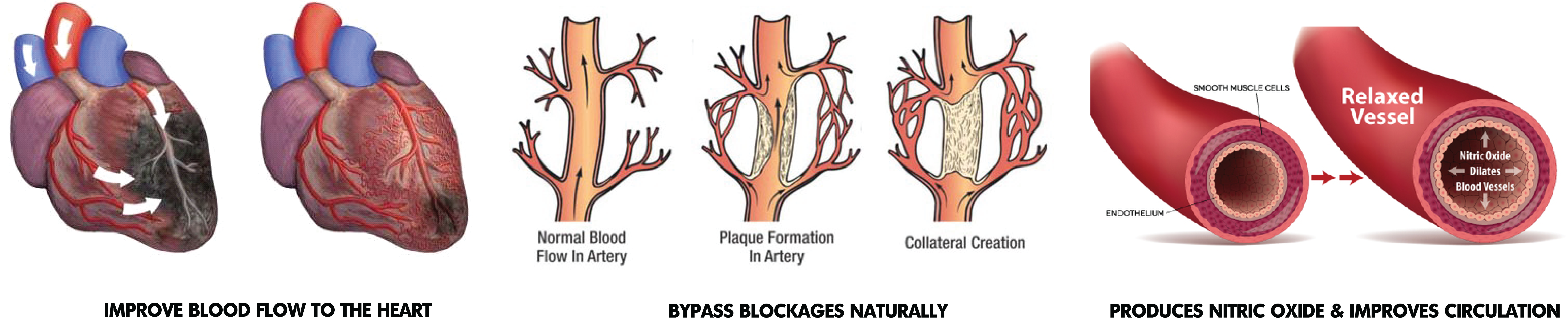 - Holistic Integration